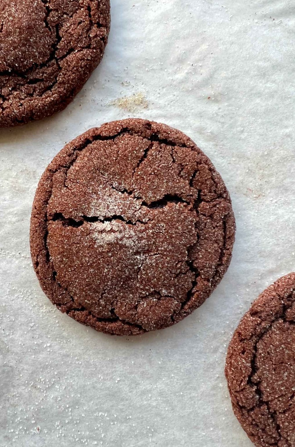 Chewy Chocolate Sugar Cookies with Cardamom | Sarah Kieffer